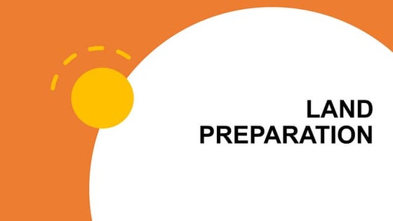 Vegetable production presentation | PPT