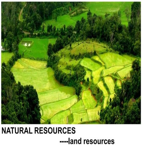 Managing natural resource- land | PPT