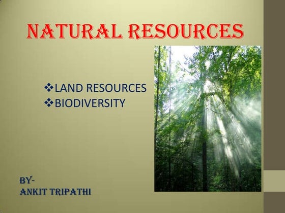 Land resources(1) | PPT