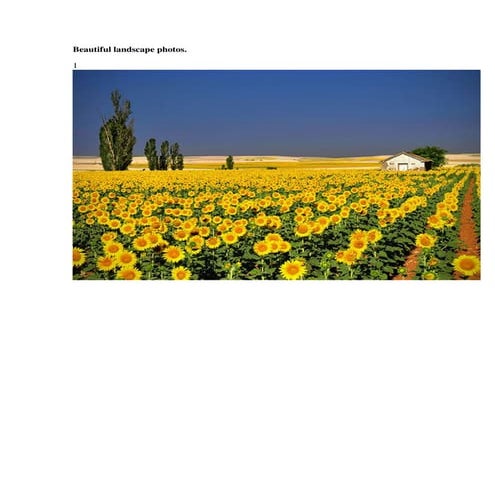 Landscape | PDF