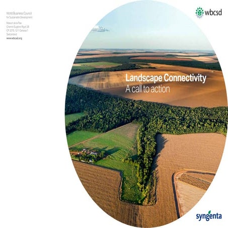 Landscape connectivity - a call to action | PDF | Agriculture | Industries