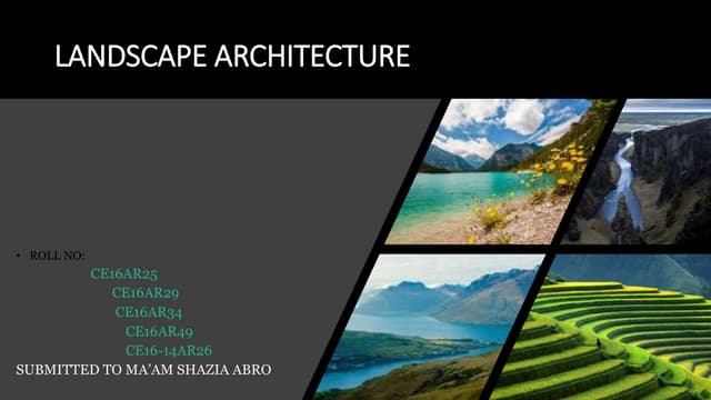 ROAD SIDE TREE PLANTING IN LANDCAPE..pdf