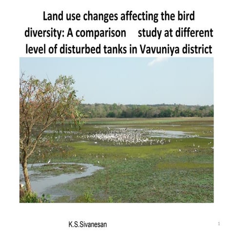 Land use changes affecting the bird diversity: A comparison study at ...