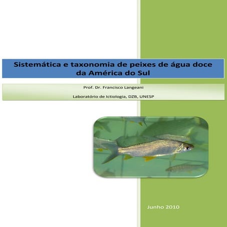 Apostila Sistemática de Peixes | PDF