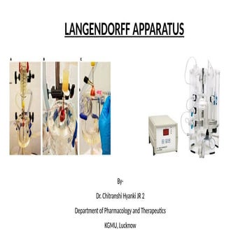Langendroff apparatus - Standard operating procedure | PPTX