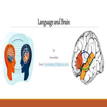 LANGUAGE AND BRAIN :Relationship Between Language and the Brain | PPT