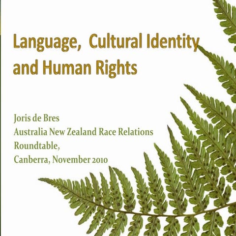 Language and human rights | PDF