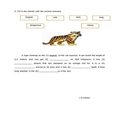 Adding and Subtracting Grams | PPTX