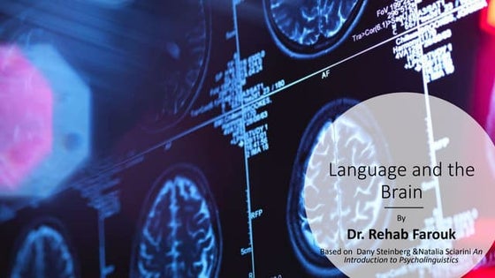 Languages and the brain.pptx