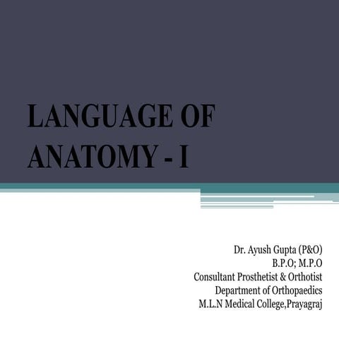 Basics of Anatomy- Language of Anatomy.pptx