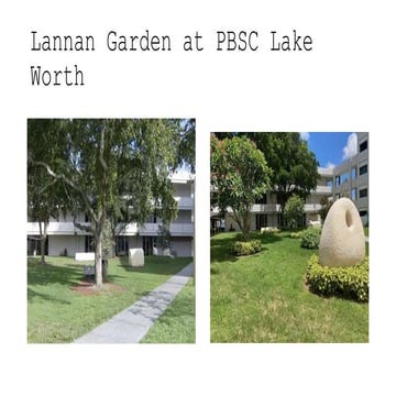 Lannan Sculpture Garden, Lake Worth, Florida | PPTX