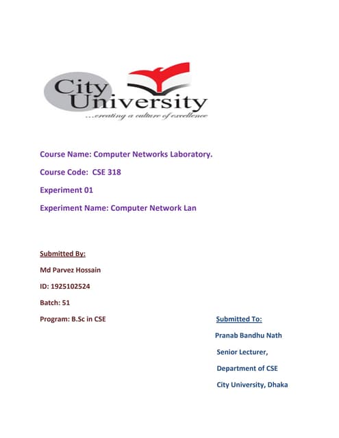 Metropolitan area network (man) | PDF