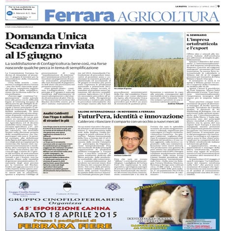 La nuova ferrara 12 aprile | PDF