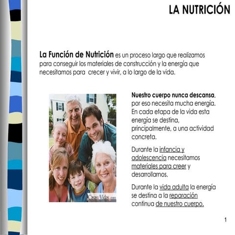 La nutrición | PPT
