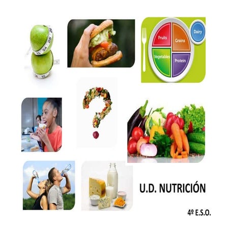 Ud handbol 5é primària | PDF