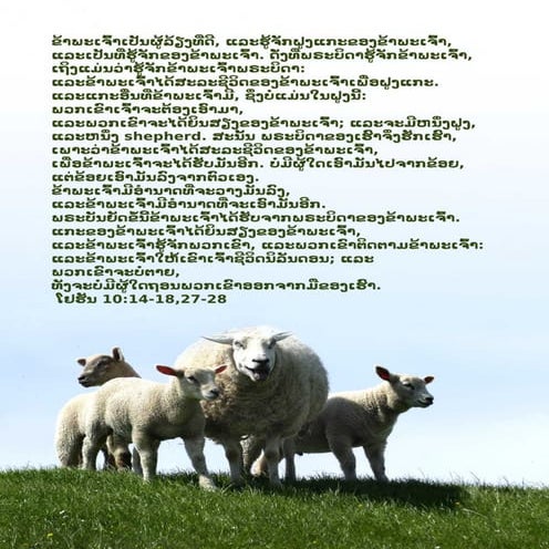 Lao - Good Shepherd Gospel Tract.pdf