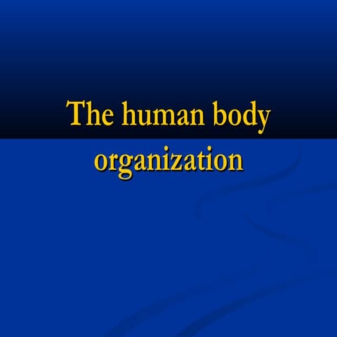 Unit 1- The organisation of the human body. Biology 3º ESO | PPT ...