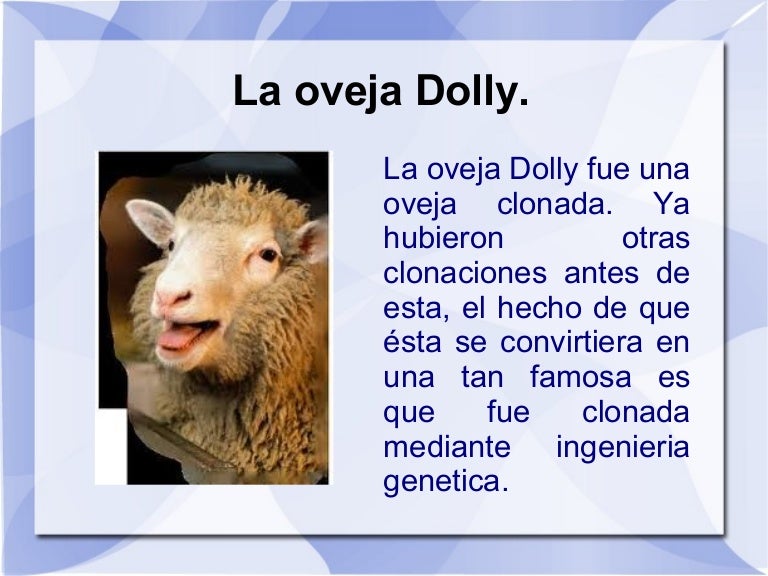 La oveja dolly