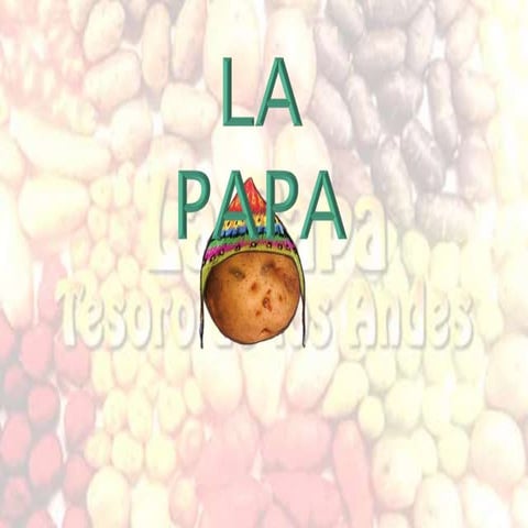 LA PAPA.pdf tríptico para el día de La papa | PDF