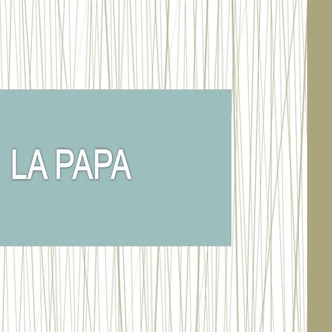 1b 4 agr (cilantrillo plateado) | DOCX