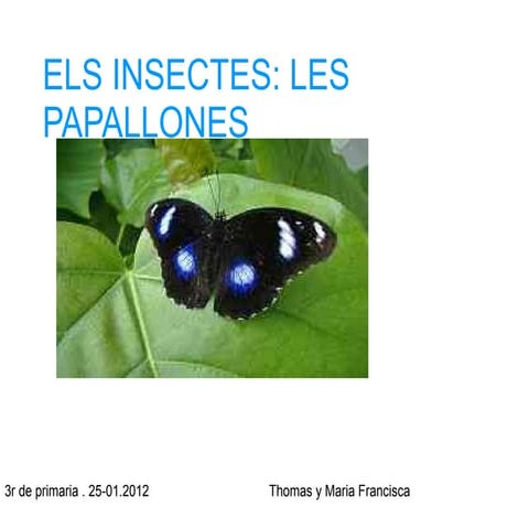 La papallona | ODP