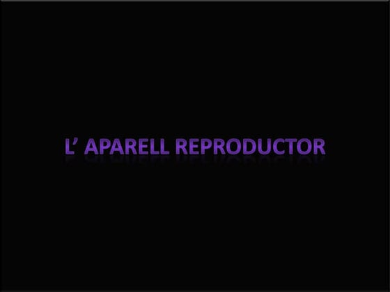 Presentación csda | PDF