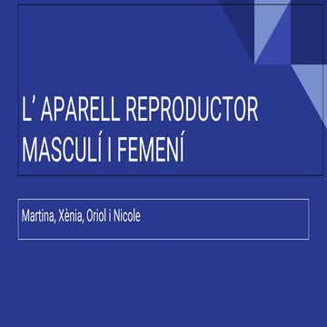 L’ aparell reproductor masculí i femení | PPTX