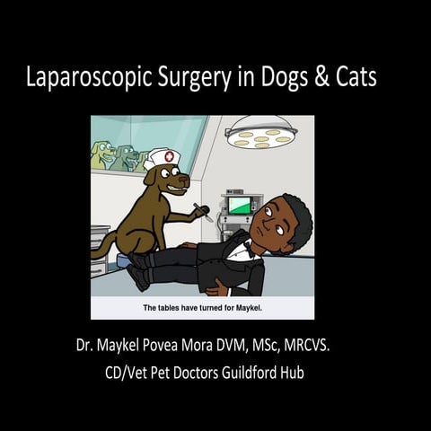Laparoscopic surgery in dogs and cats | PPT
