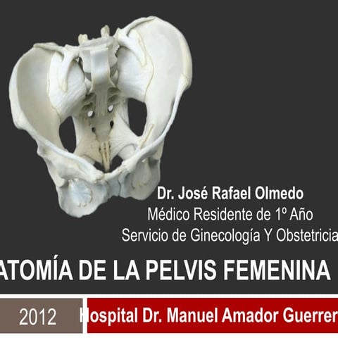 Anatomía de la Pelvis Femenina | PPTX