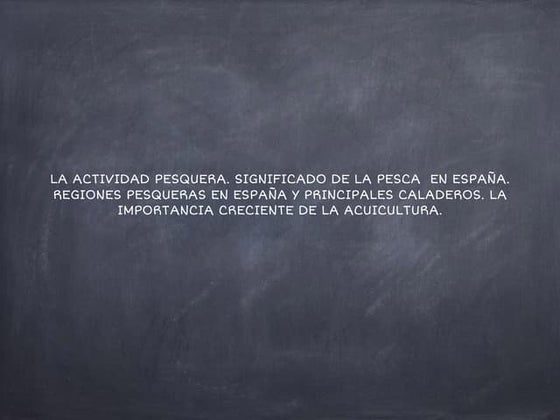 Prácticas Pesca resueltas | PDF