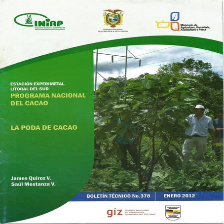 LA PODA DE CACAO 2012.pdfjgjgjgnnnnnnnnnnnnnnnnnnnnnnnnnnn | PDF