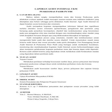LAPORAN AUDIT INTERNAL UKM PKM PP 1.docx
