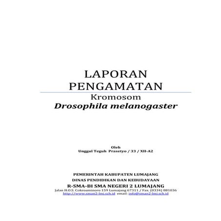 Laporan Pengamatan Praktikum Lalat | DOCX