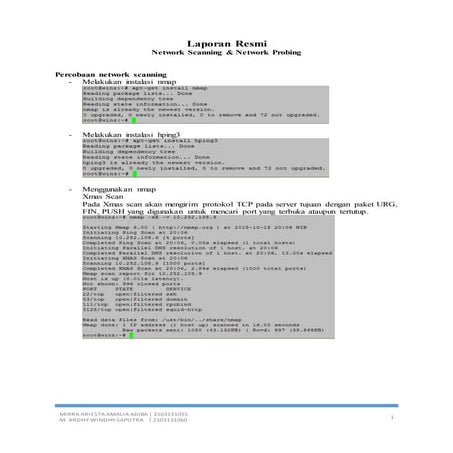 Network Scanner & Network Probing | DOCX