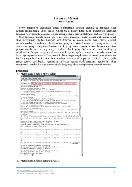 Network Scanner & Network Probing | PDF