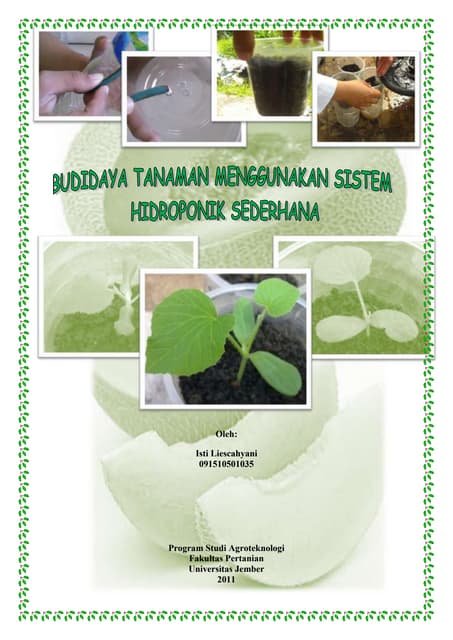 Teknik Persilangan Kelapa Sawit dan Daftar Varietas Kelapa Sawit | PPT