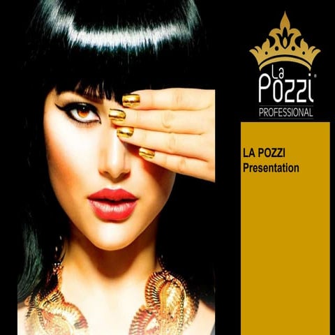 La Pozzi - Apresentação Distribuidor | PDF