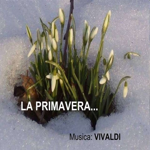 La Primavera Pps