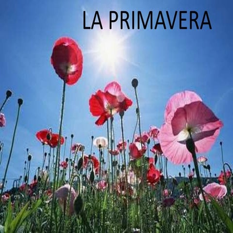 La primavera | PPT