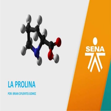 La prolina | PPTX