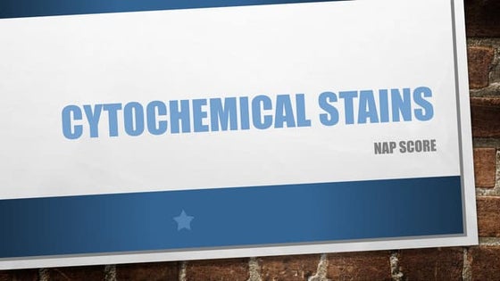 Leukocyte Alkaline Phosphatase Stain | PPT