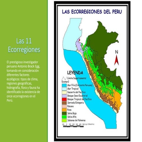 La ecorregión puna ( características, flora ,fauna, etc)) | PPTX