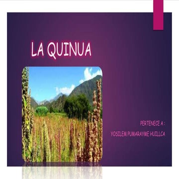 2. la quinua | PPT