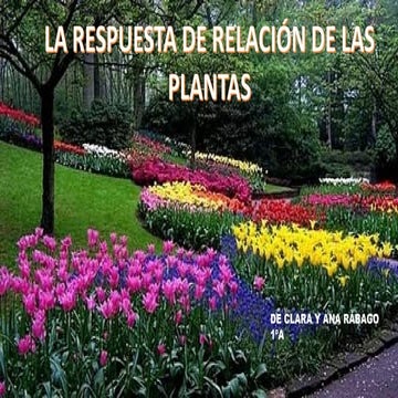 Tropismos y nastias | PPTX