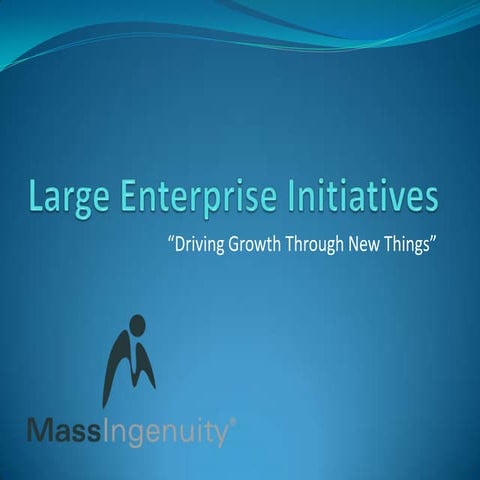 Large Enterprise Initiatives | PPTX