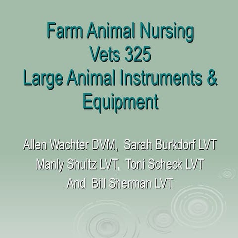Large animal instruments | PPT