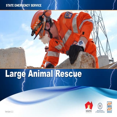 Large Animal Rescue SA SES capability | PDF