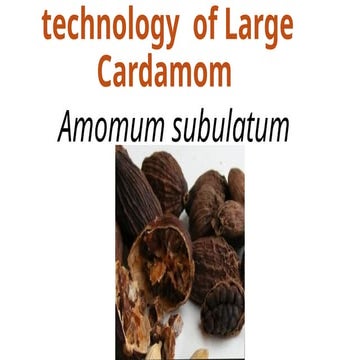 large cardamom.pptx ipr issues and patent issues | PPTX