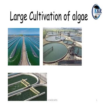 Large cultivation of algae in Pond Design | PPTX