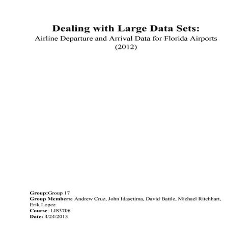 Large data sets analysis florida airports | DOCX